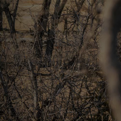 First Lite Camouflage