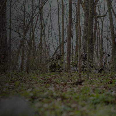 First Lite Camouflage